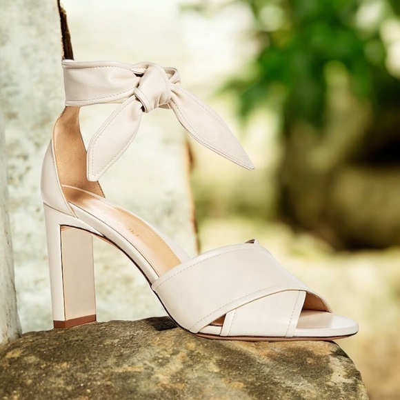 Marion Parke | Shoes | Nib Marion Parke Leah Ankle Tie Sandal Heels ...